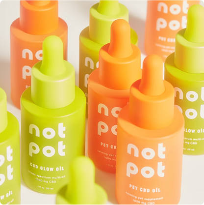 Going Green with Non-toxic Inks and Eco Practices