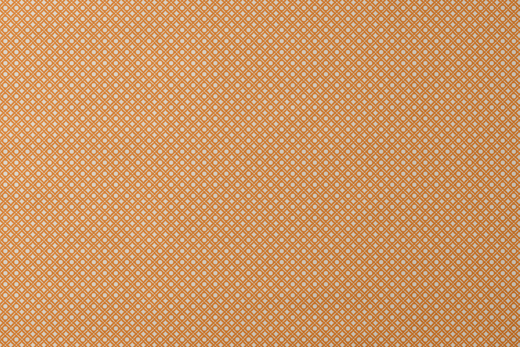 Fresh Geo on Orange | Fabric by the Yard