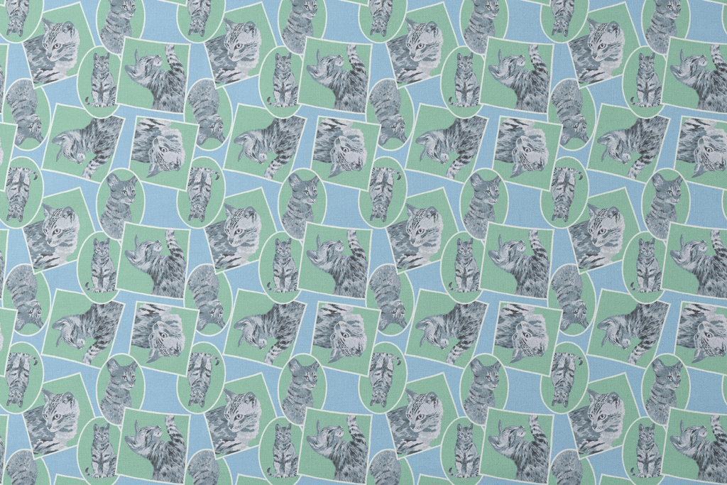 Cat Frames on Blue | Fabric by the Yard