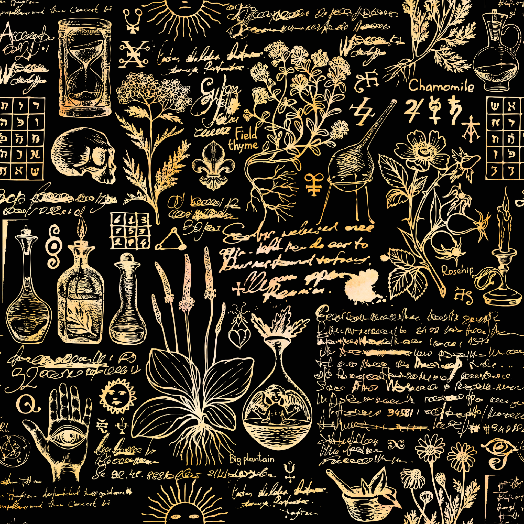 Kate Ward Thacker - Botanical Alchemy - Black | Fabric by the Yard