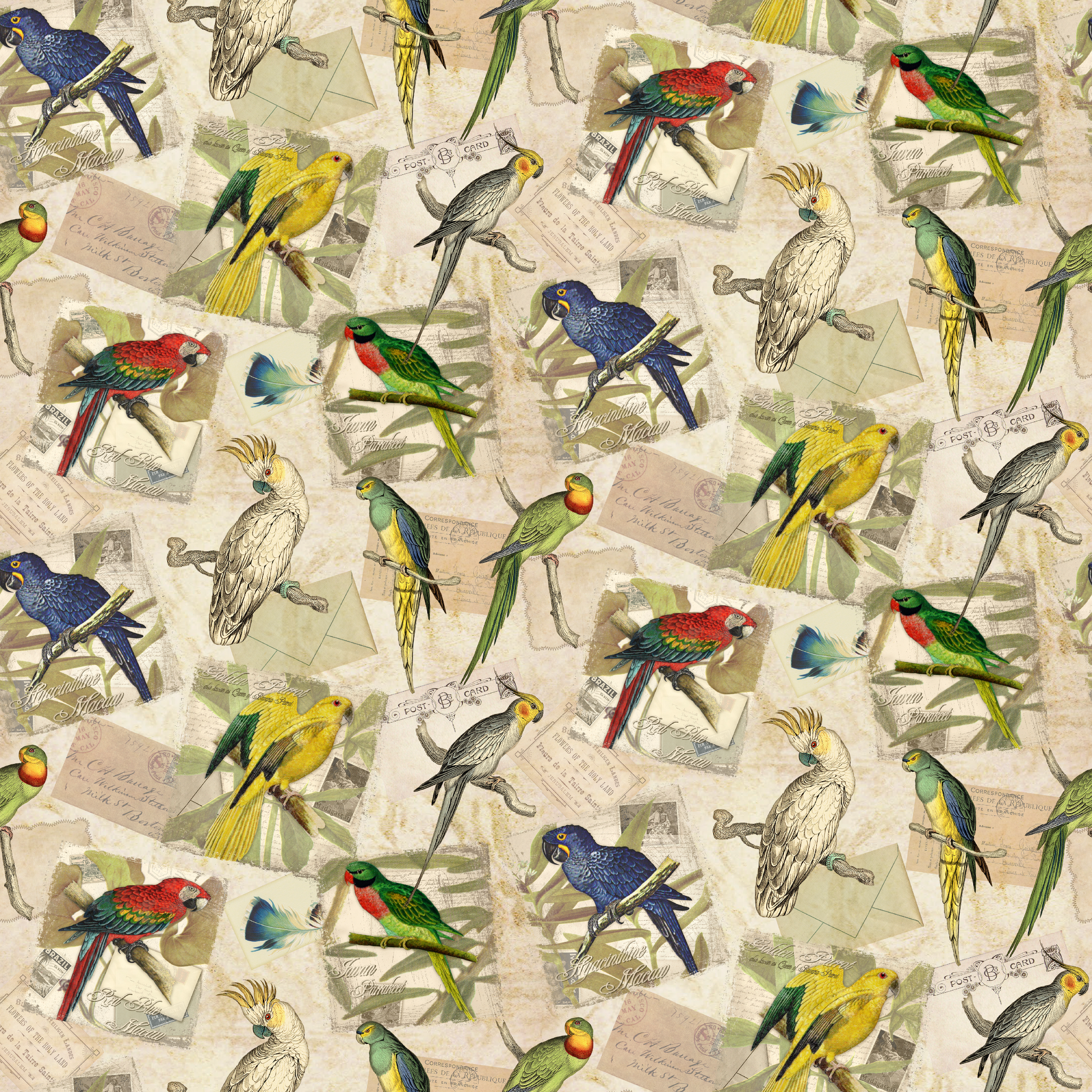 Kate Ward Thacker - Aviary Postcards - Parrot Collage | Fabric by the Yard