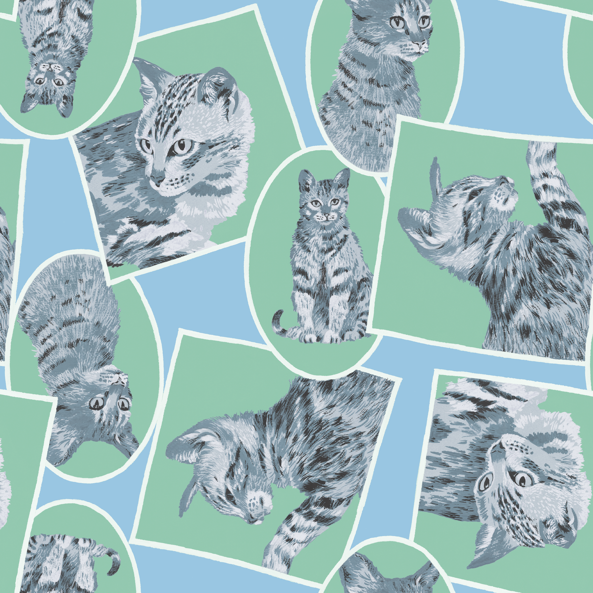 Cat Frames on Blue | Fabric by the Yard